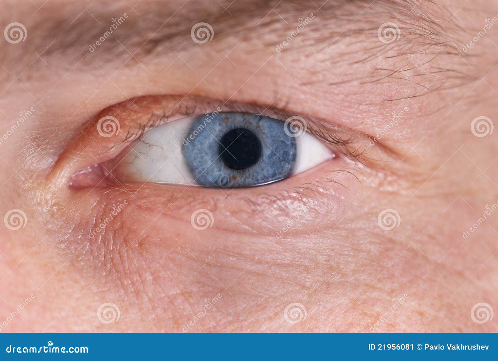 Man s blue eye stock image. Image of confident, white - 21956081