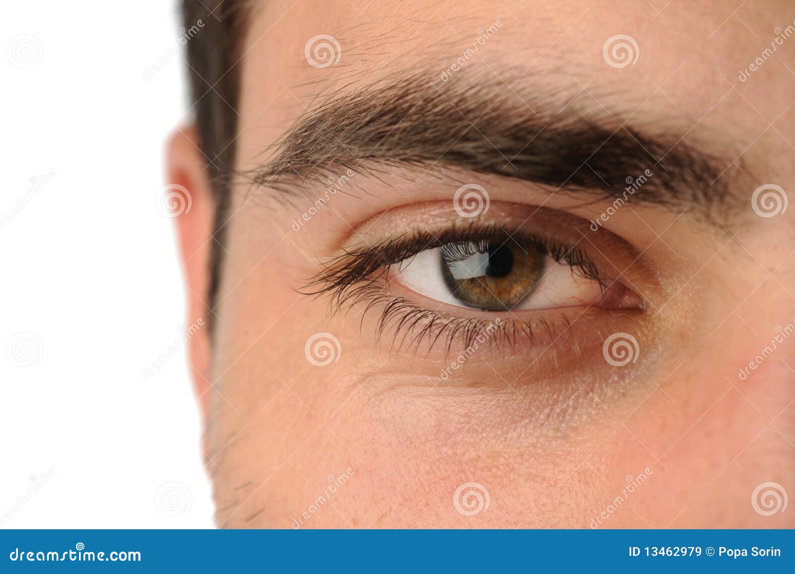 Man s eye stock image. Image of green, close, oculistics - 13462979