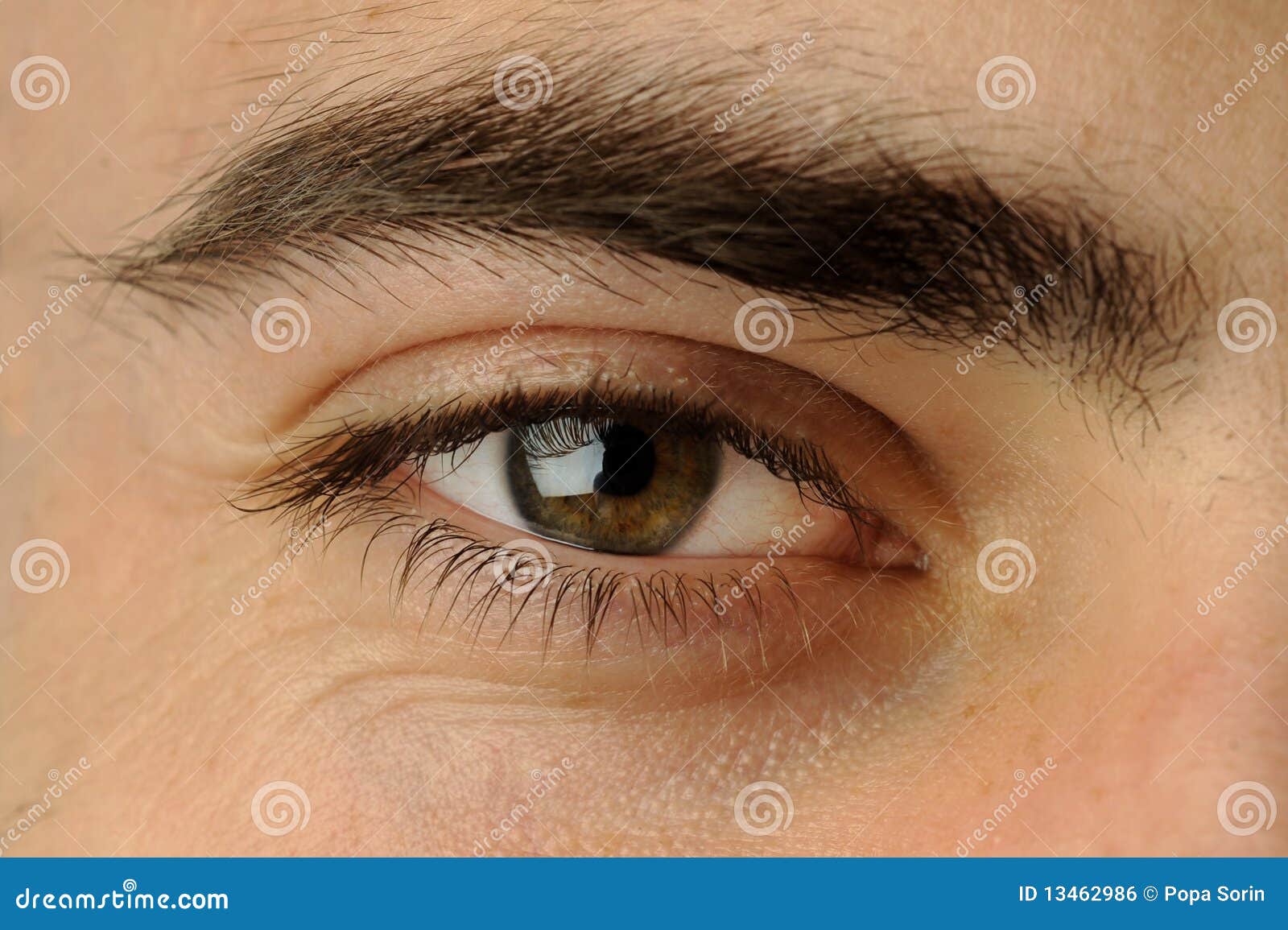 Man s eye stock photo. Image of green, eyelid, eyeball - 13462986