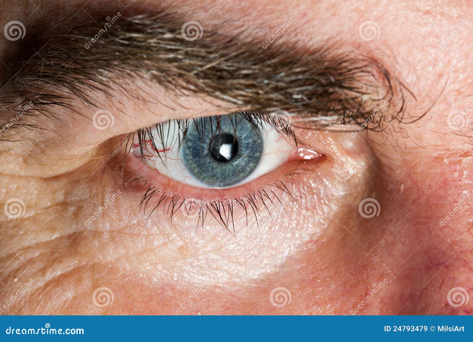 Man s eye stock image. Image of close, turquoise, macro - 24793479