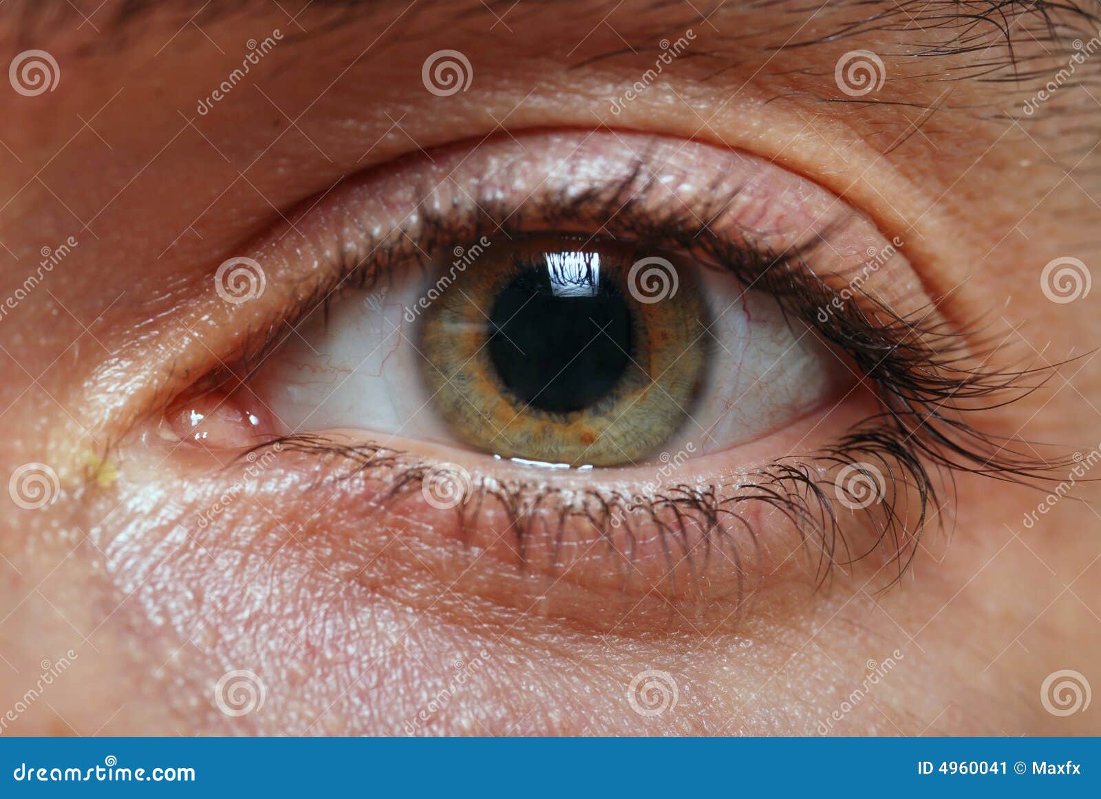 A man s eye closeup stock image. Image of eyelash, sight - 4960041