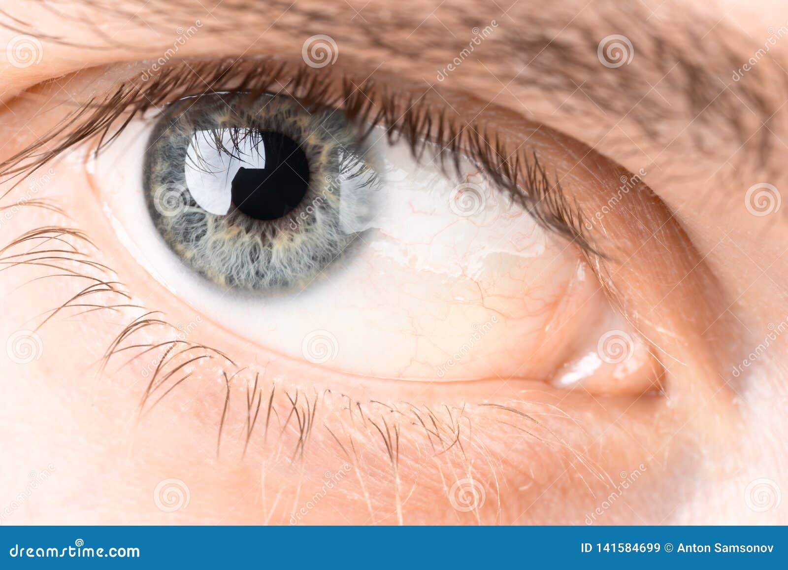 Eyes close-up stock image. Image of american, beauty - 141584699