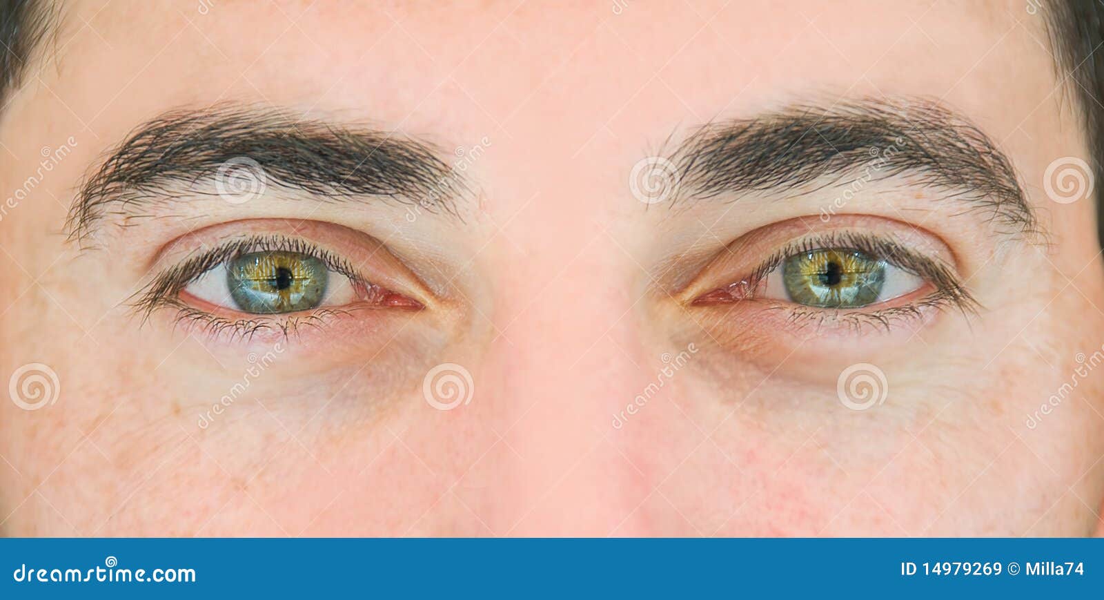 Man s eyes. stock image. Image of lash, macro, eyelash - 14979269