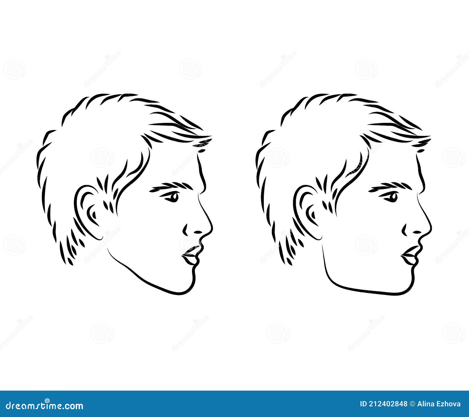 Man`s Face. Beautiful Cheekbones. Silhouette Of A Human Face On A White ...