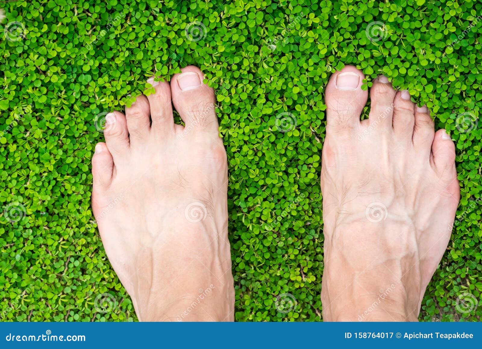 Man`s Feet Standing on Grass Stock Image - Image of cure, male: 158764017