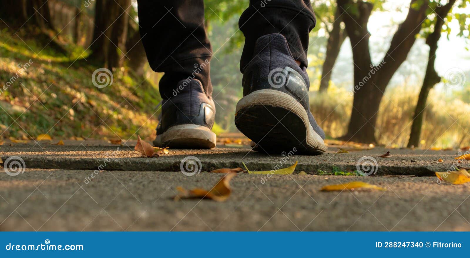 A Man S Feet on the Walking Path in the Morning Stock Photo - Image of ...