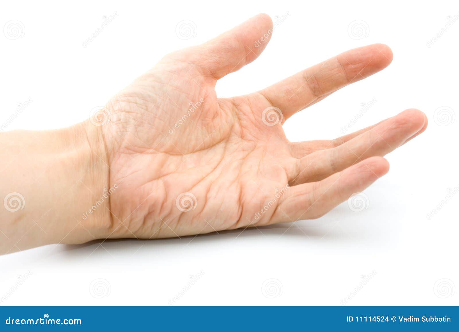 Man s hand stock photo. Image of power, arms, business - 11114524