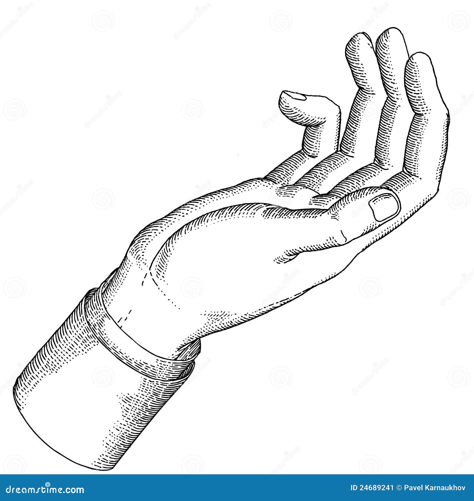 A man s hand stock vector. Illustration of human, drawn - 24689241