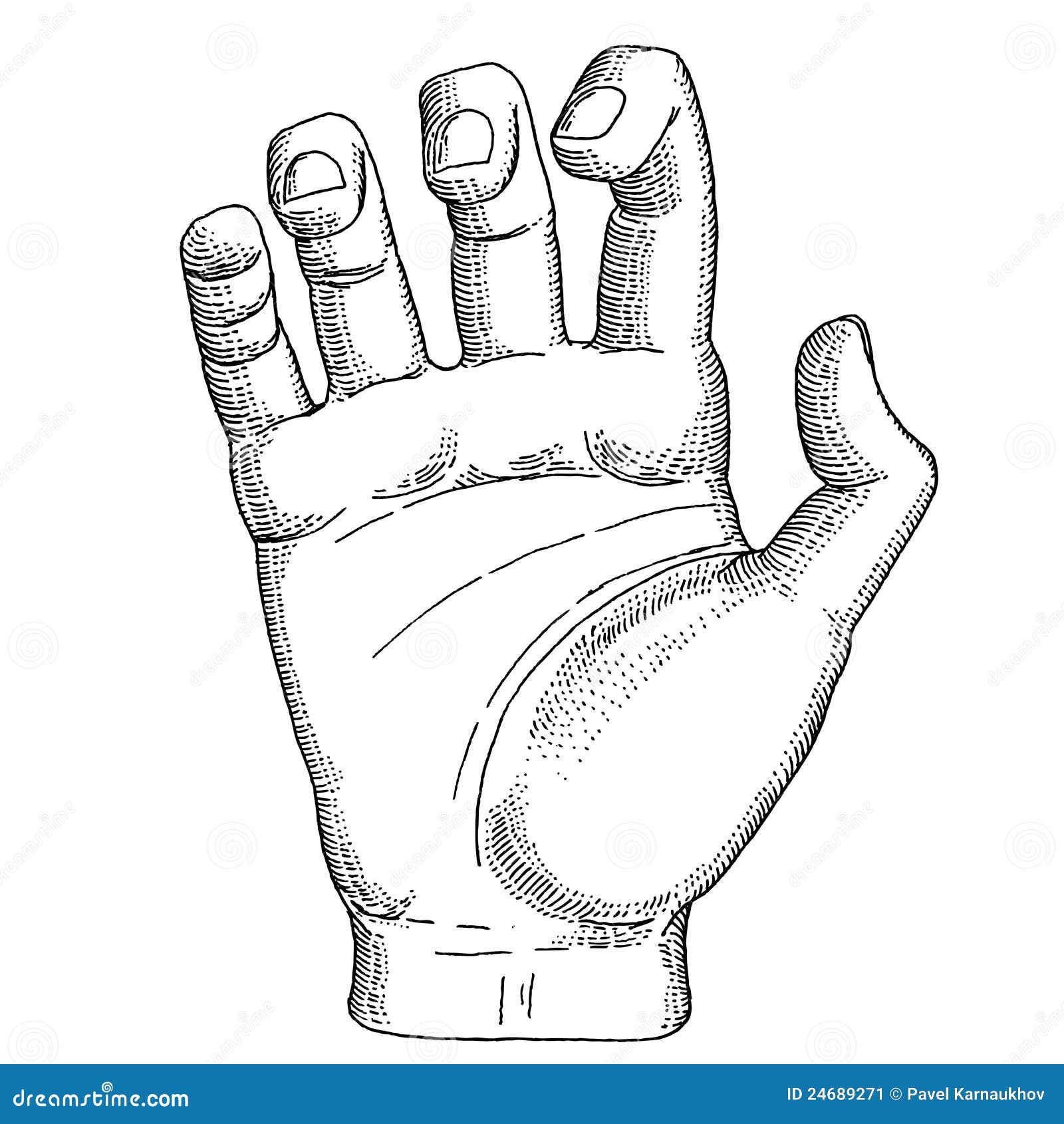 A man s hand stock vector. Illustration of history, pinch - 24689271