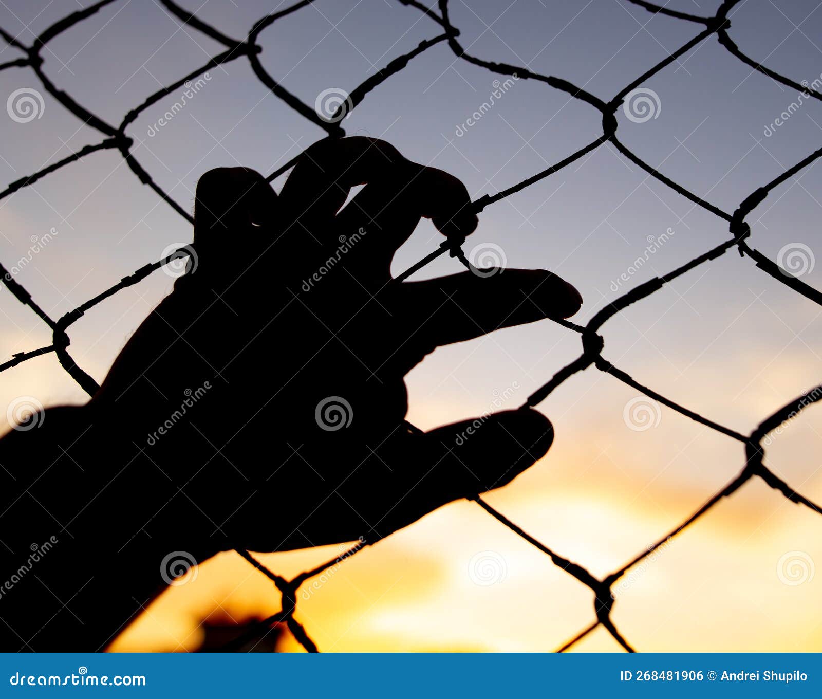 Man S Hand on the Fence Grid at Sunset. Stock Photo - Image of escape ...