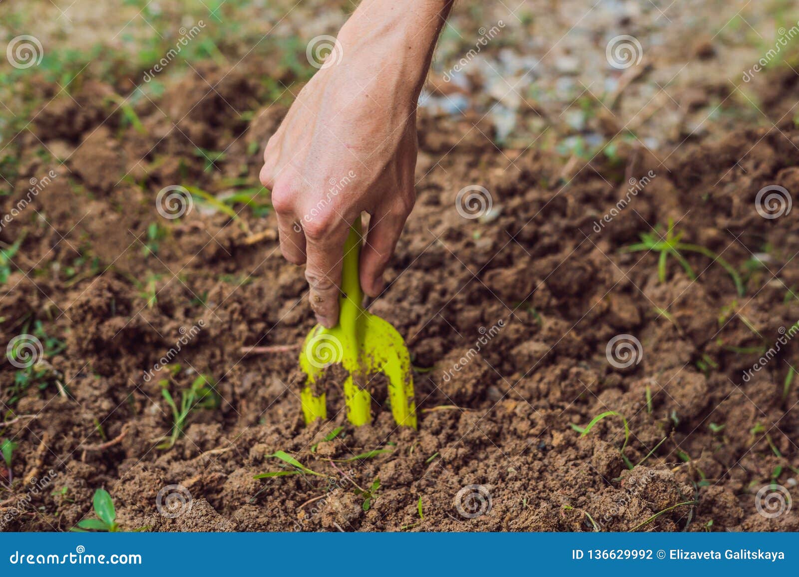 A Man`s Hand with a Garden Tool. Man Gardening Stock Photo - Image of ...