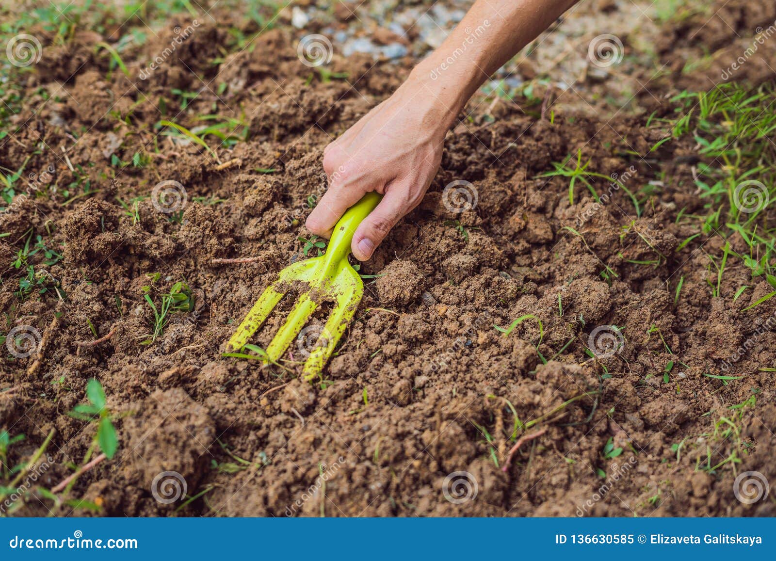 A Man`s Hand with a Garden Tool. Man Gardening Stock Image - Image of ...