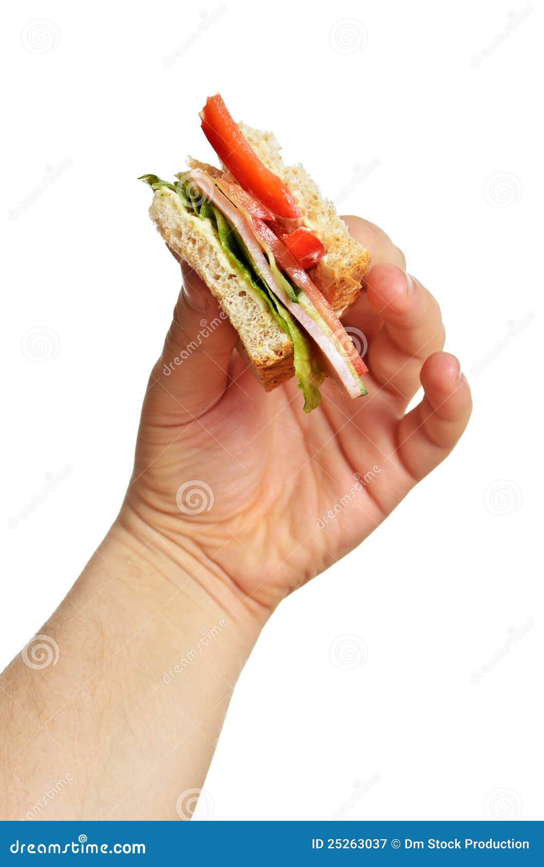Bitten Sandwich Royalty-Free Stock Photo | CartoonDealer.com #17703