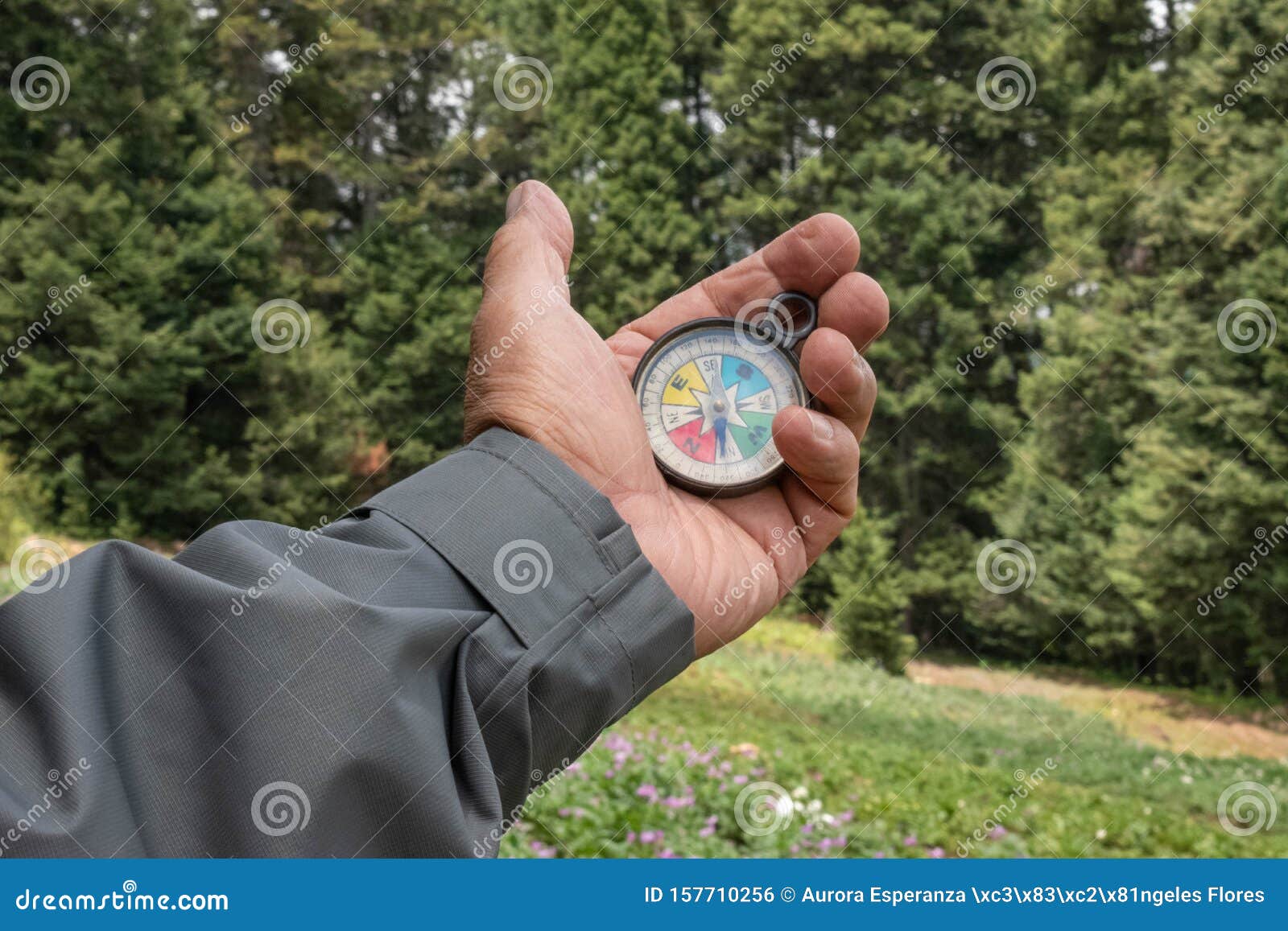 Man`s Hand Holding a Compass at the Forest. Stock Photo - Image of ...