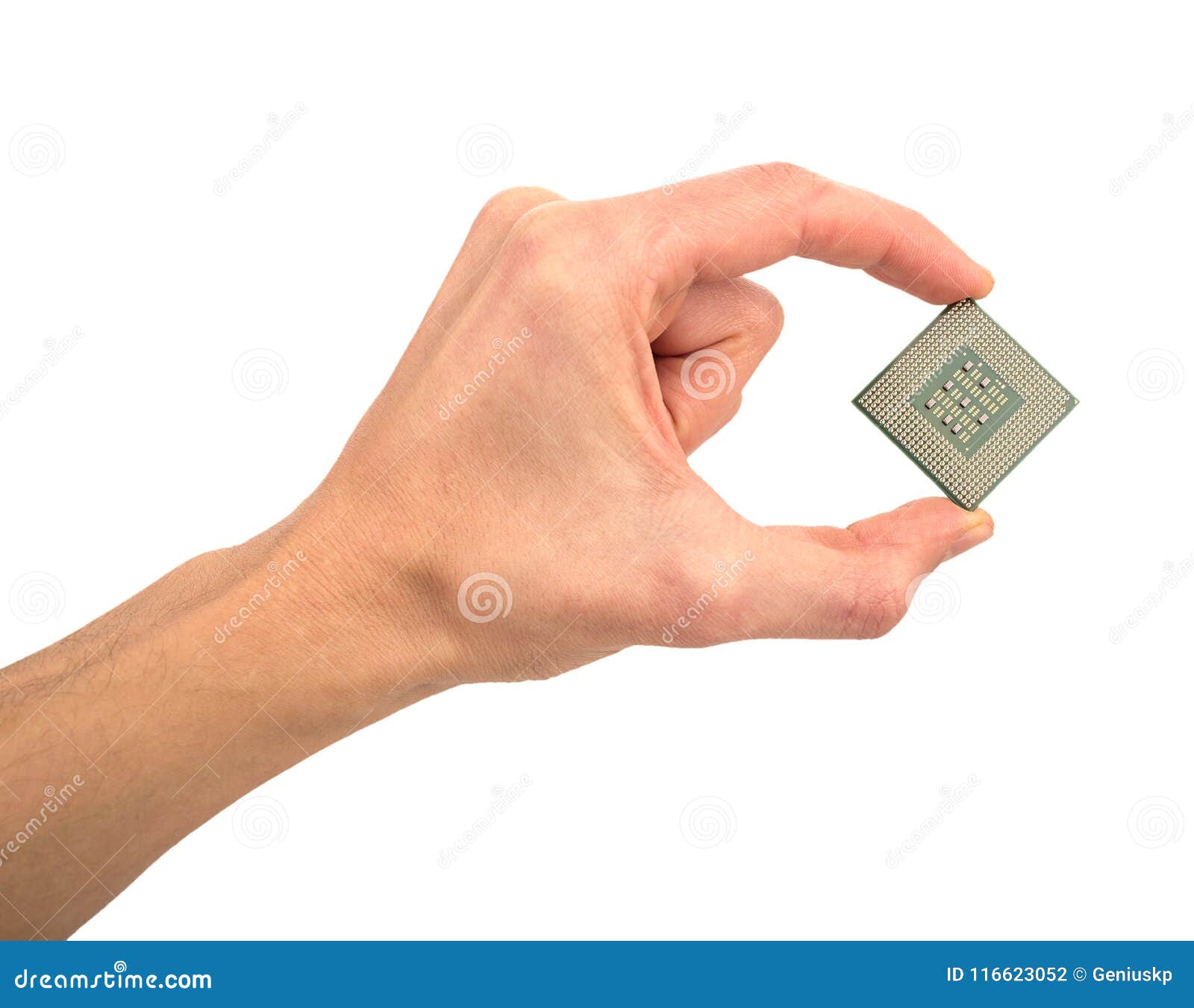 Man`s Hand Holding a Computer Processor Stock Photo - Image of hold ...