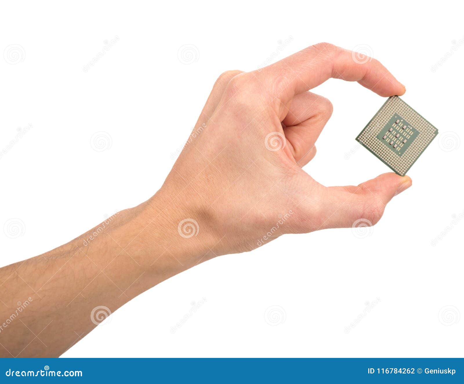 Man`s Hand Holding a Computer Processor Stock Photo - Image of ...