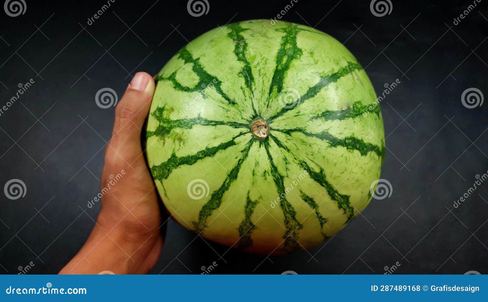 A Man S Hand Holding a Watermelon Stock Photo - Image of agriculture ...