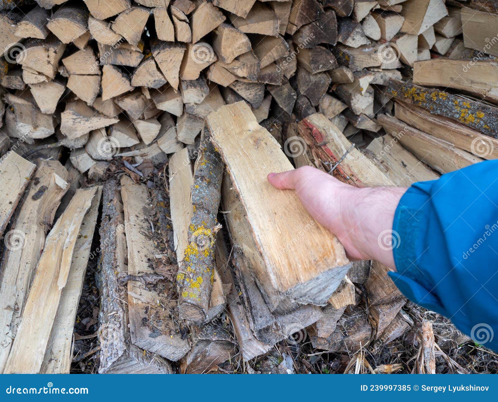 A Man`s Hand Holds a Log Pulled from a Pile of Firewood Stock Image ...