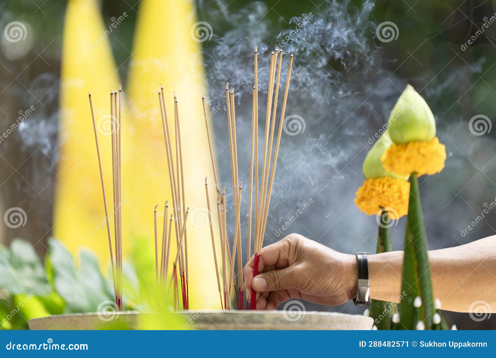 Man S Hand Inserting Prayer Incense Stock Image - Image of black, plant ...