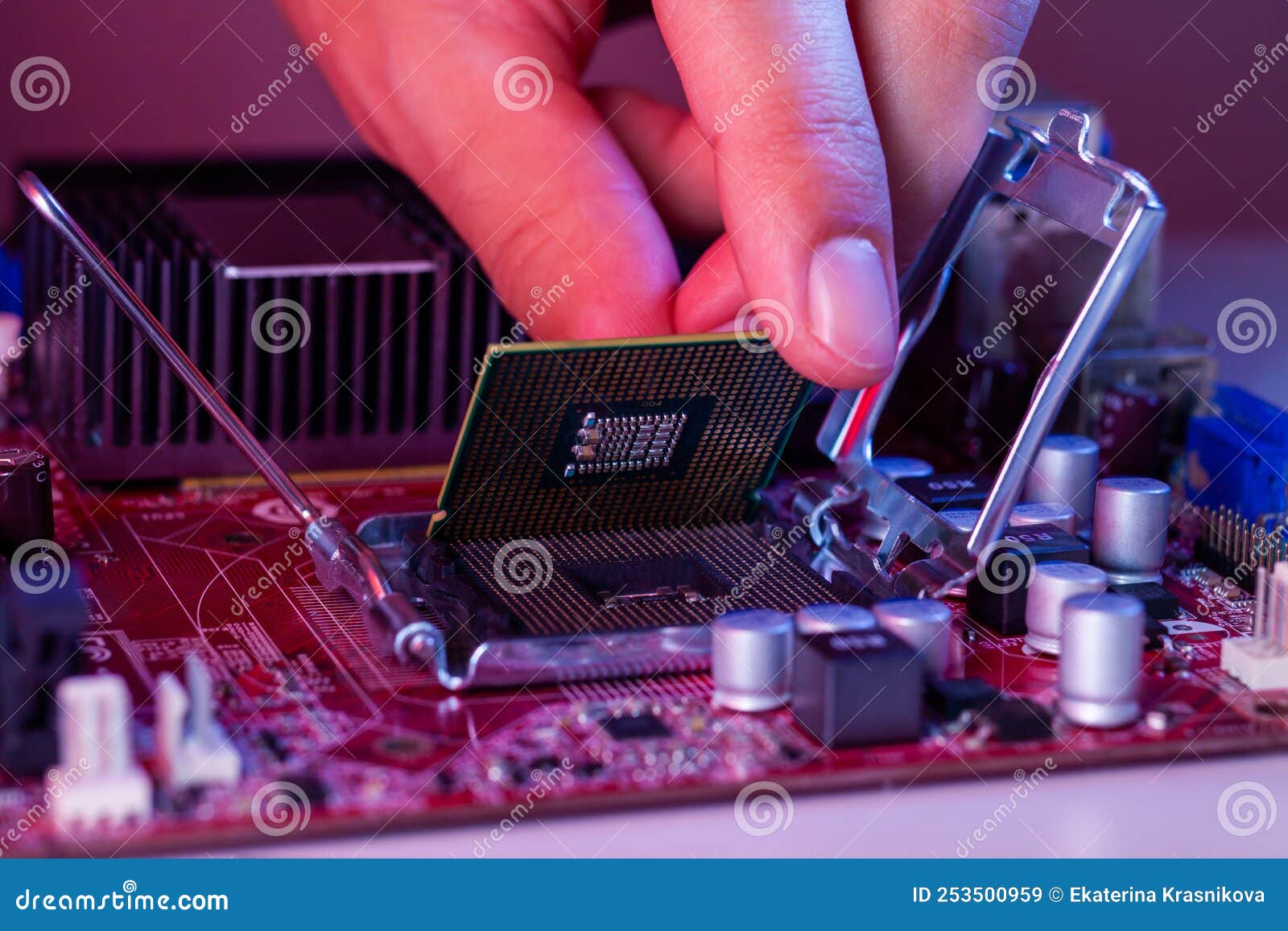 A Man`s Hand Inserts a Processor into the Motherboard Chipset Stock ...