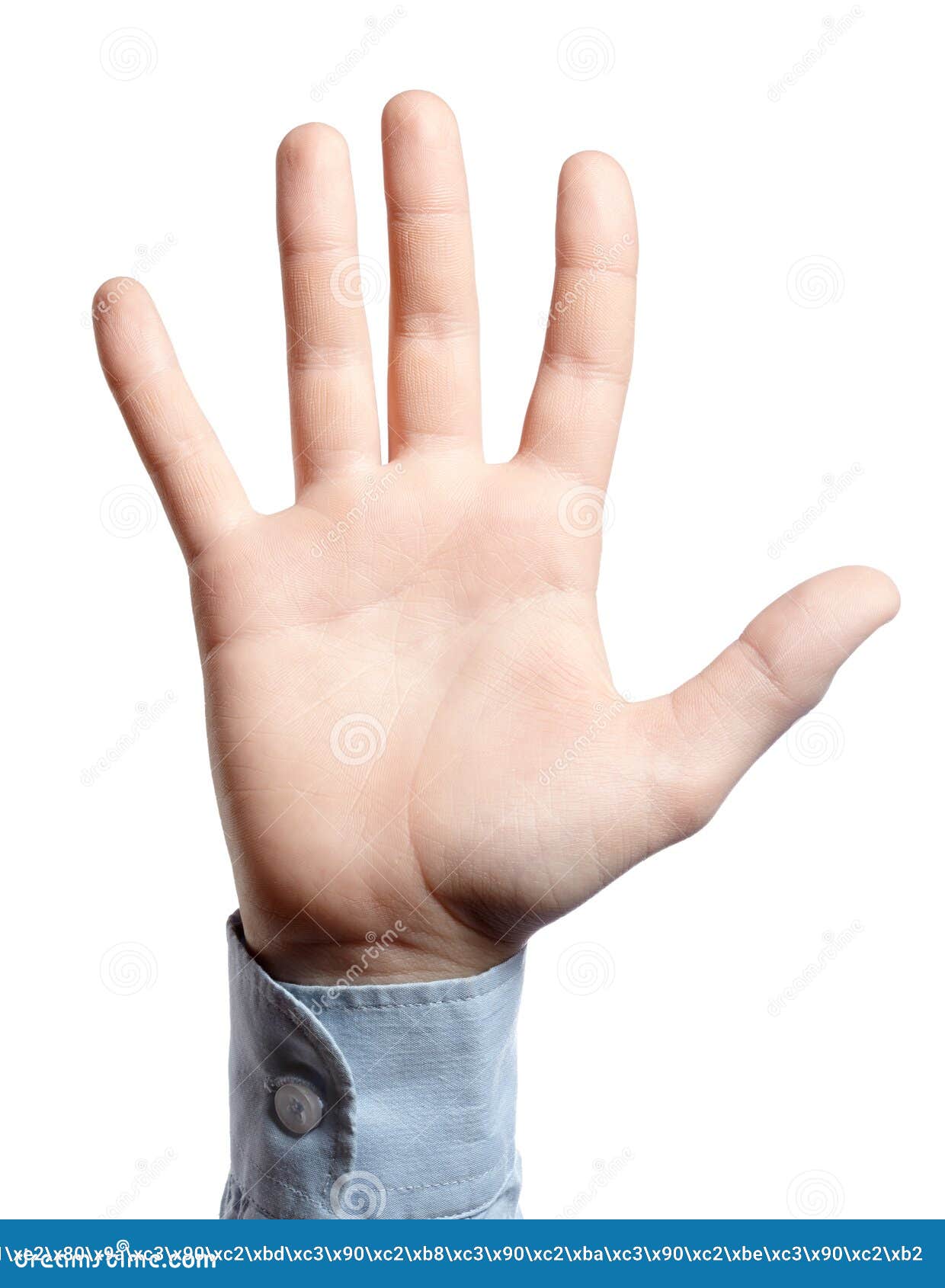 Man`s Hand Isolated on White Stock Image - Image of showing, gesturing ...