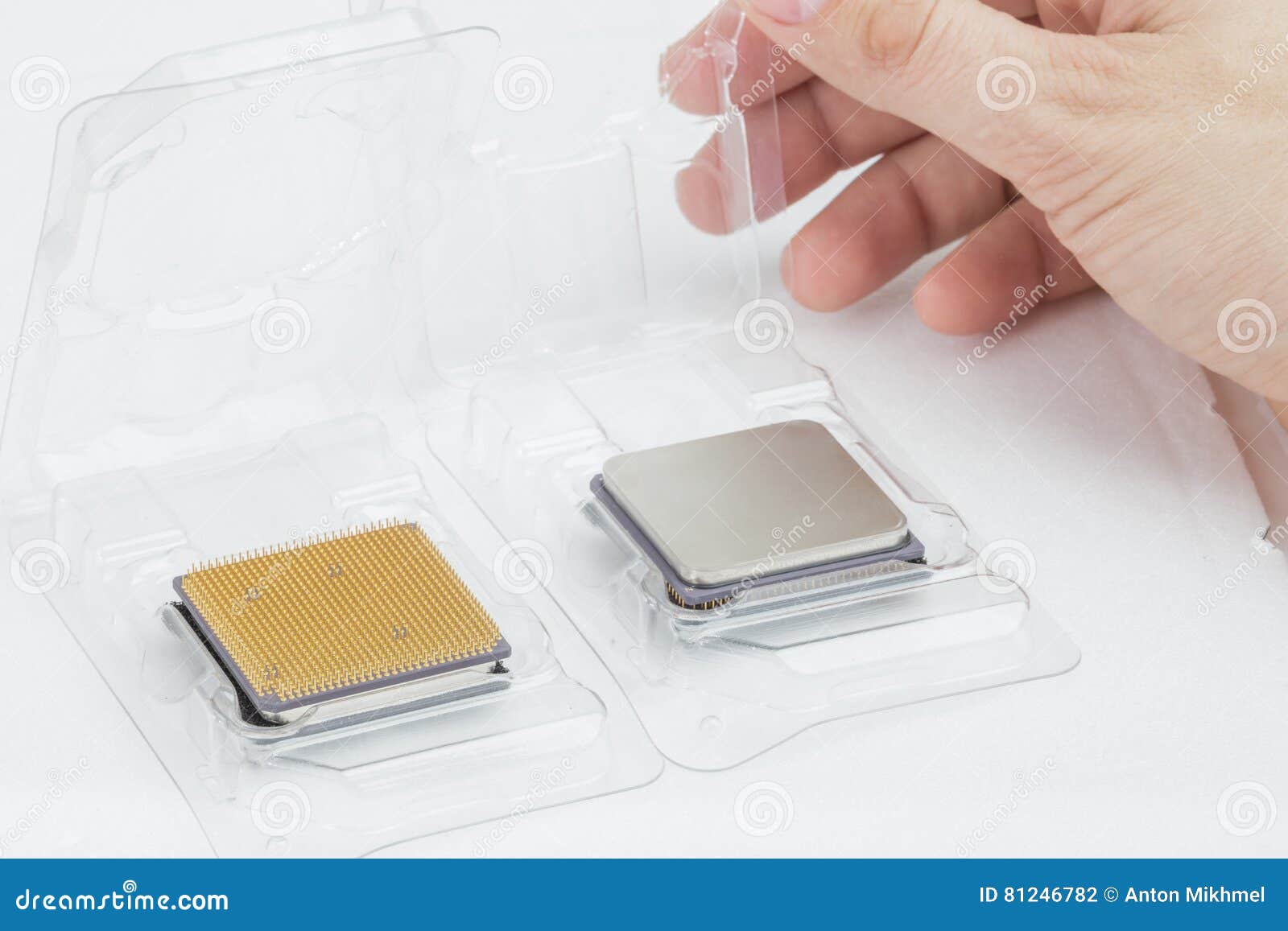 Man`s Hand Opening a Box with a CPU. Stock Photo - Image of male ...