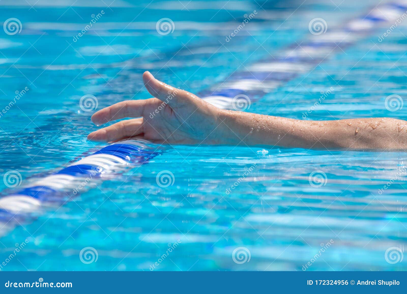 Man`s hand in pool water stock photo. Image of underwater - 172324956