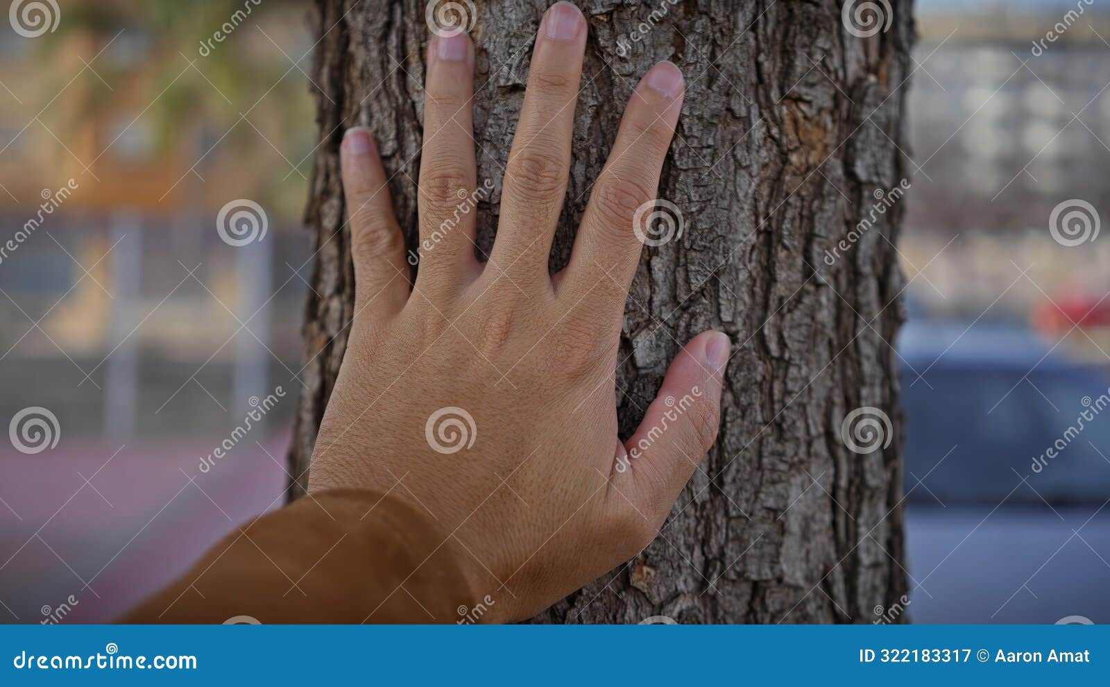 A Man S Hand Touching the Rough Texture of a Tree Trunk Outdoors ...