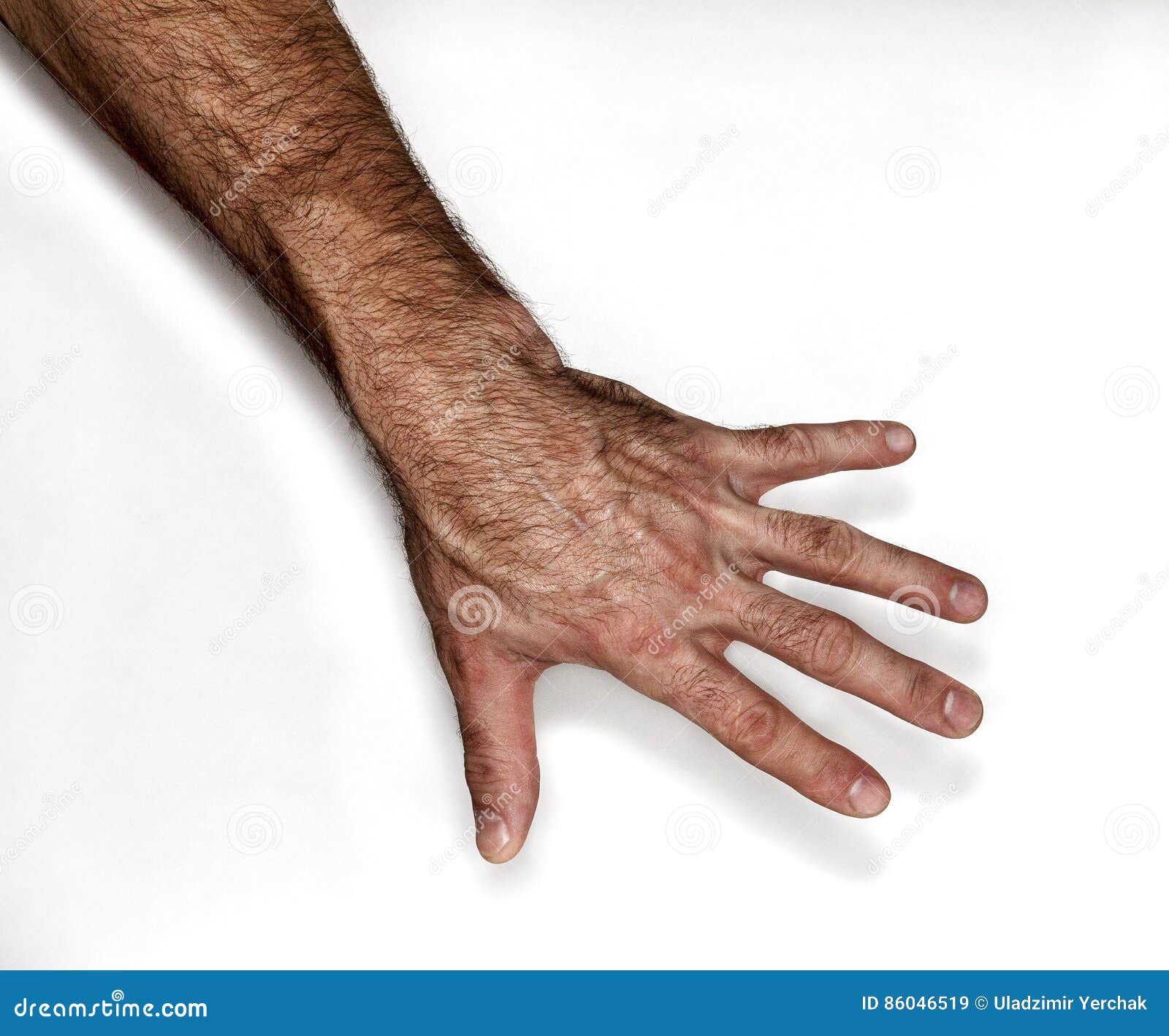Man`s hand stock image. Image of care, message, blank - 86046519