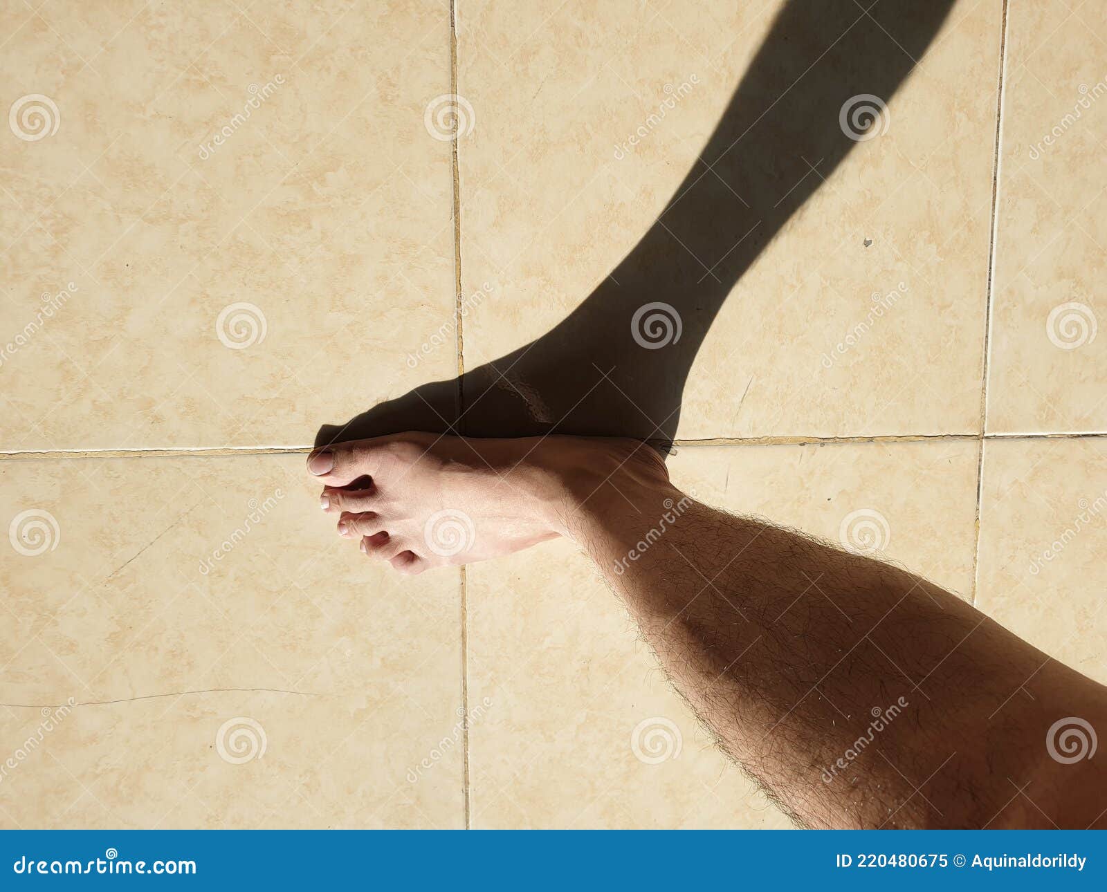 A Man`s Leg with shadow stock image. Image of fruit - 220480675