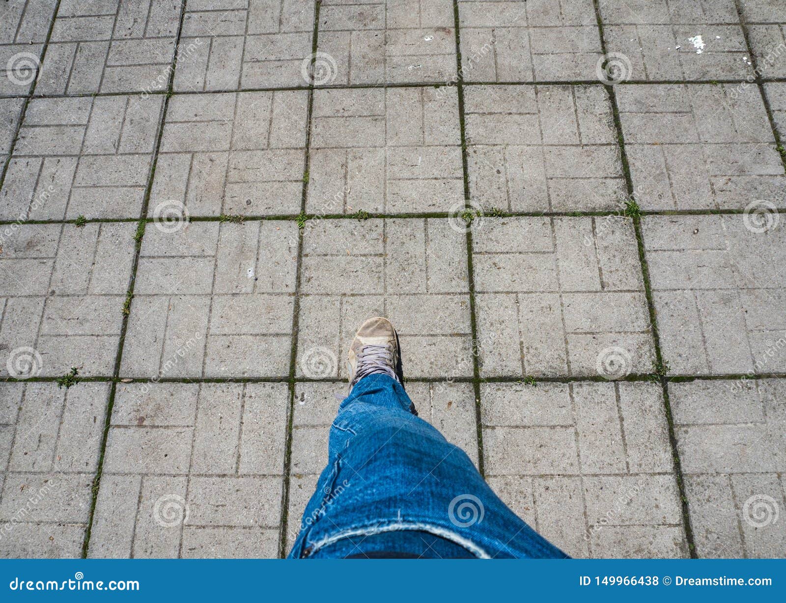 A man`s leg on a tile. stock photo. Image of sunny, sneakers - 149966438