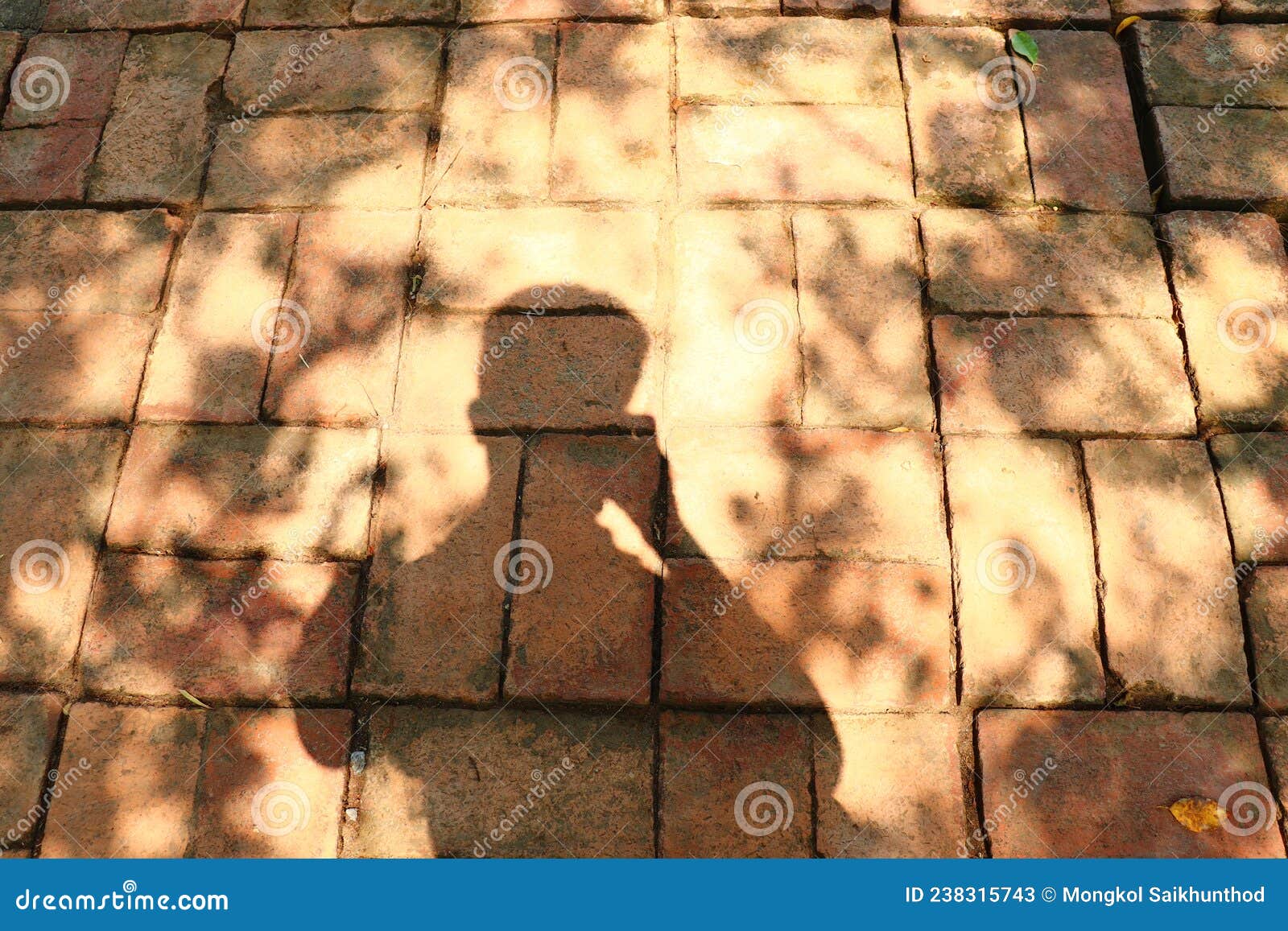 The man s shadow on bricks stock image. Image of painting - 238315743