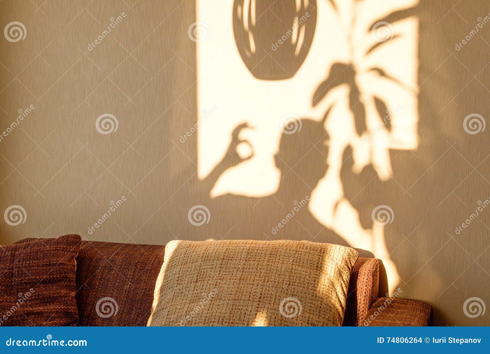Man S Shadow Showing Gesture Stock Photo - Image of background, dark ...