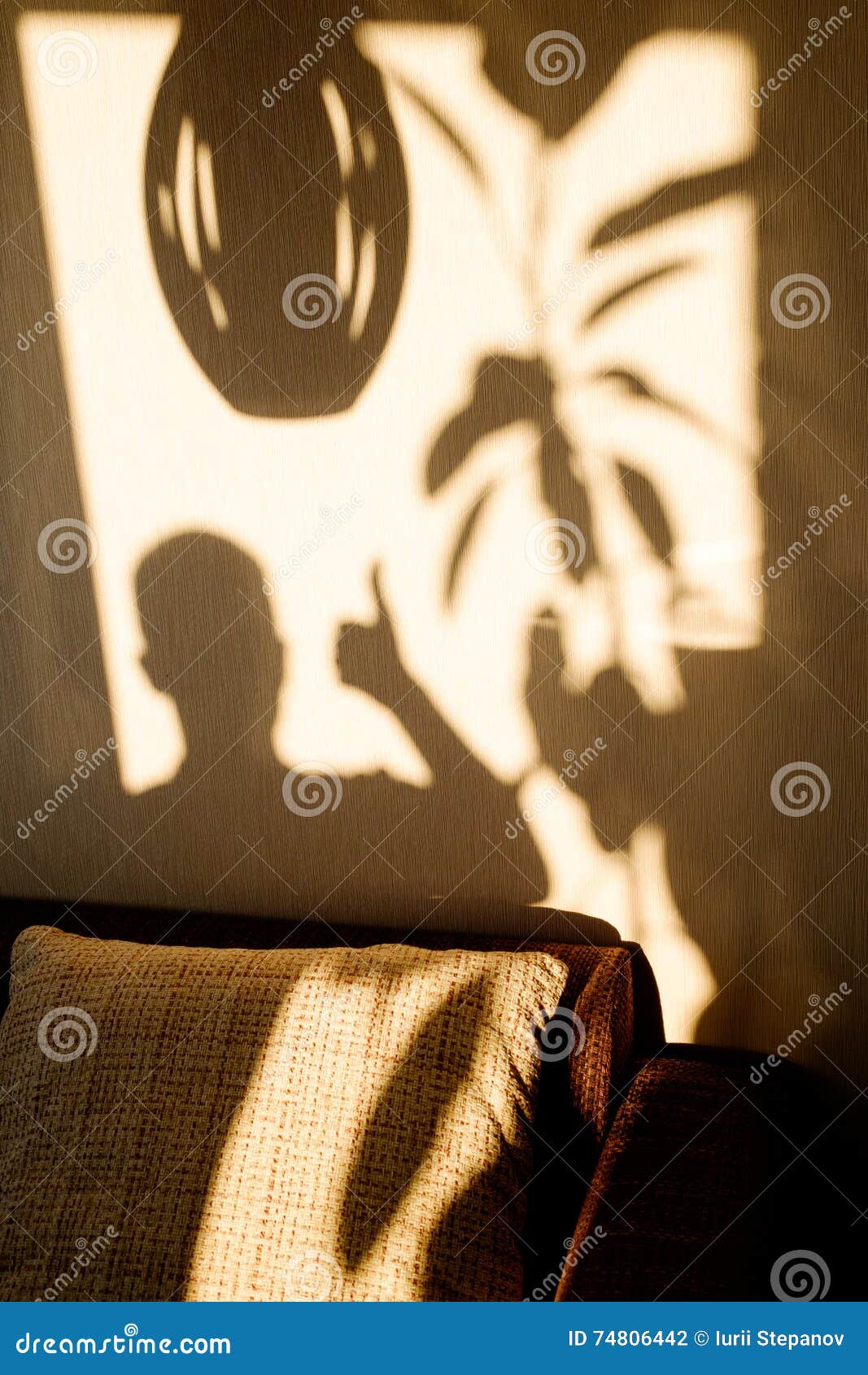 Man S Shadow Showing Gesture Stock Photo - Image of design, light: 74806442