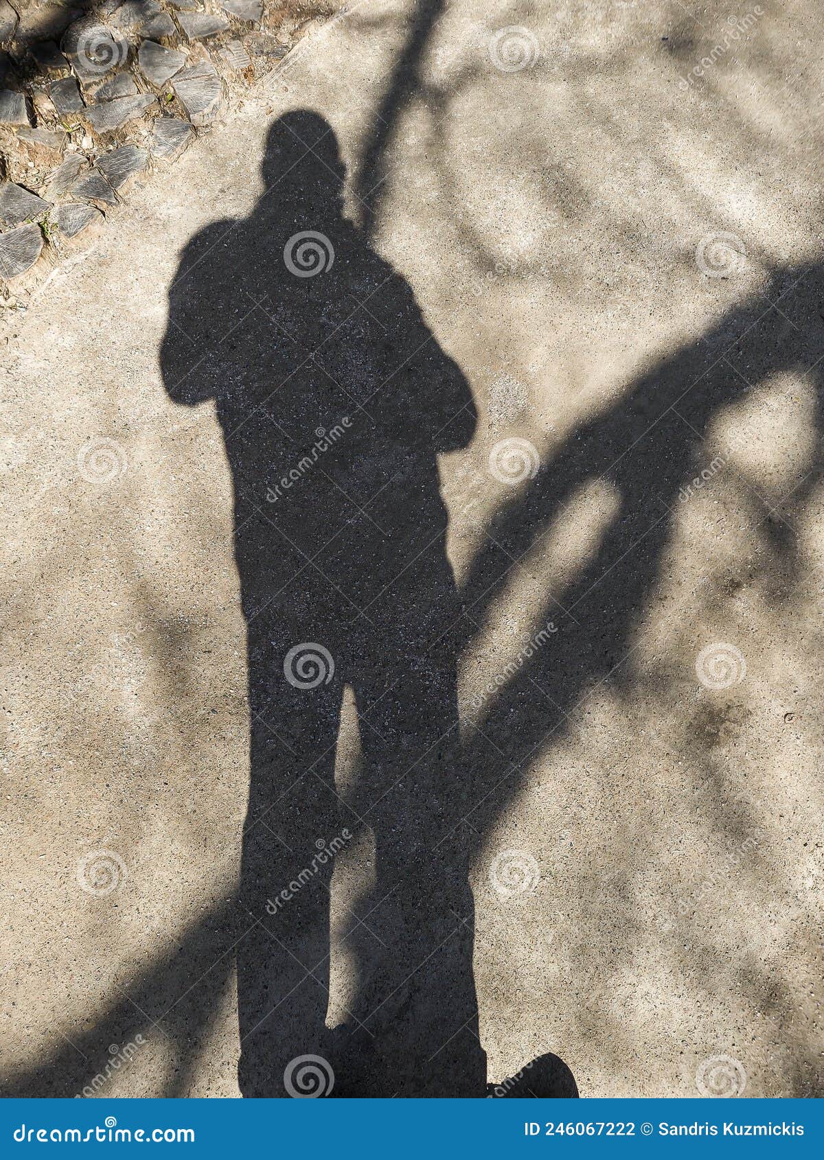 A Man`s Shadow on a Walking Trail Stock Photo - Image of male, shadow ...