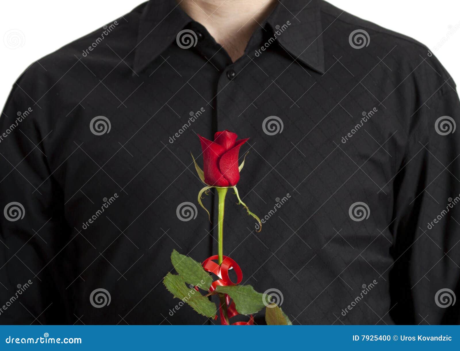 Man S Torso with Red Rose in Front Stock Photo - Image of black, give ...