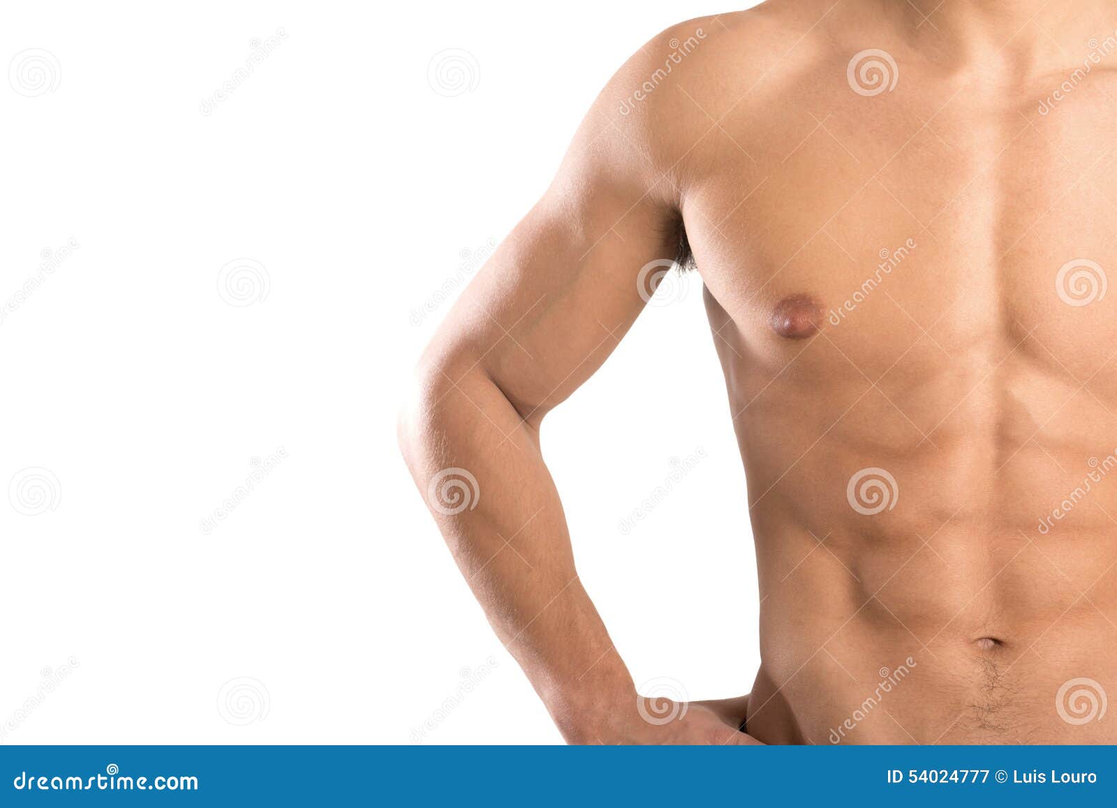 Man s torso stock image. Image of posing, young, torso - 54024777