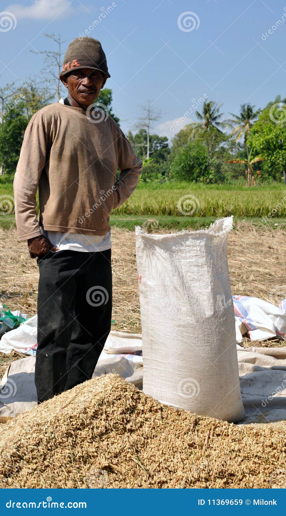 Man with sack of rice editorial stock image. Image of rice - 11369659