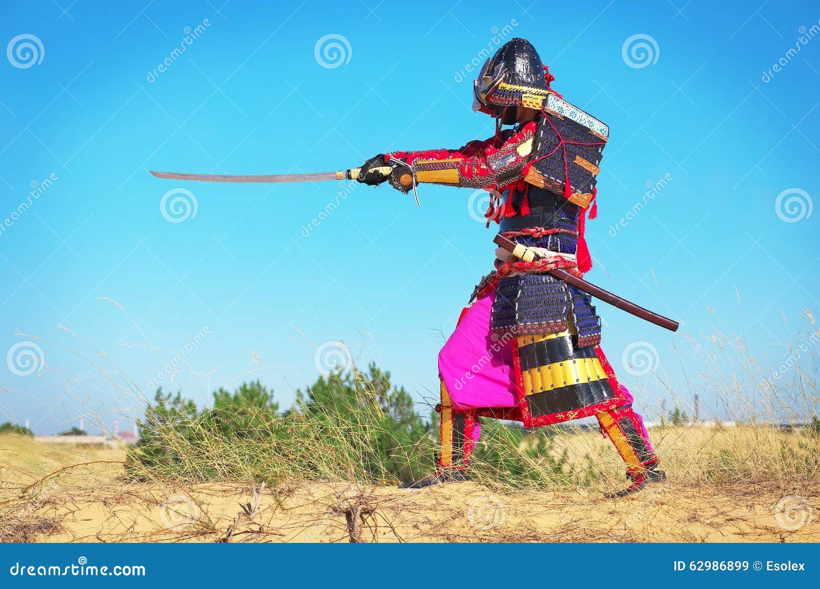 Man in Samurai Costume with Sword. Stock Image - Image of japanese ...