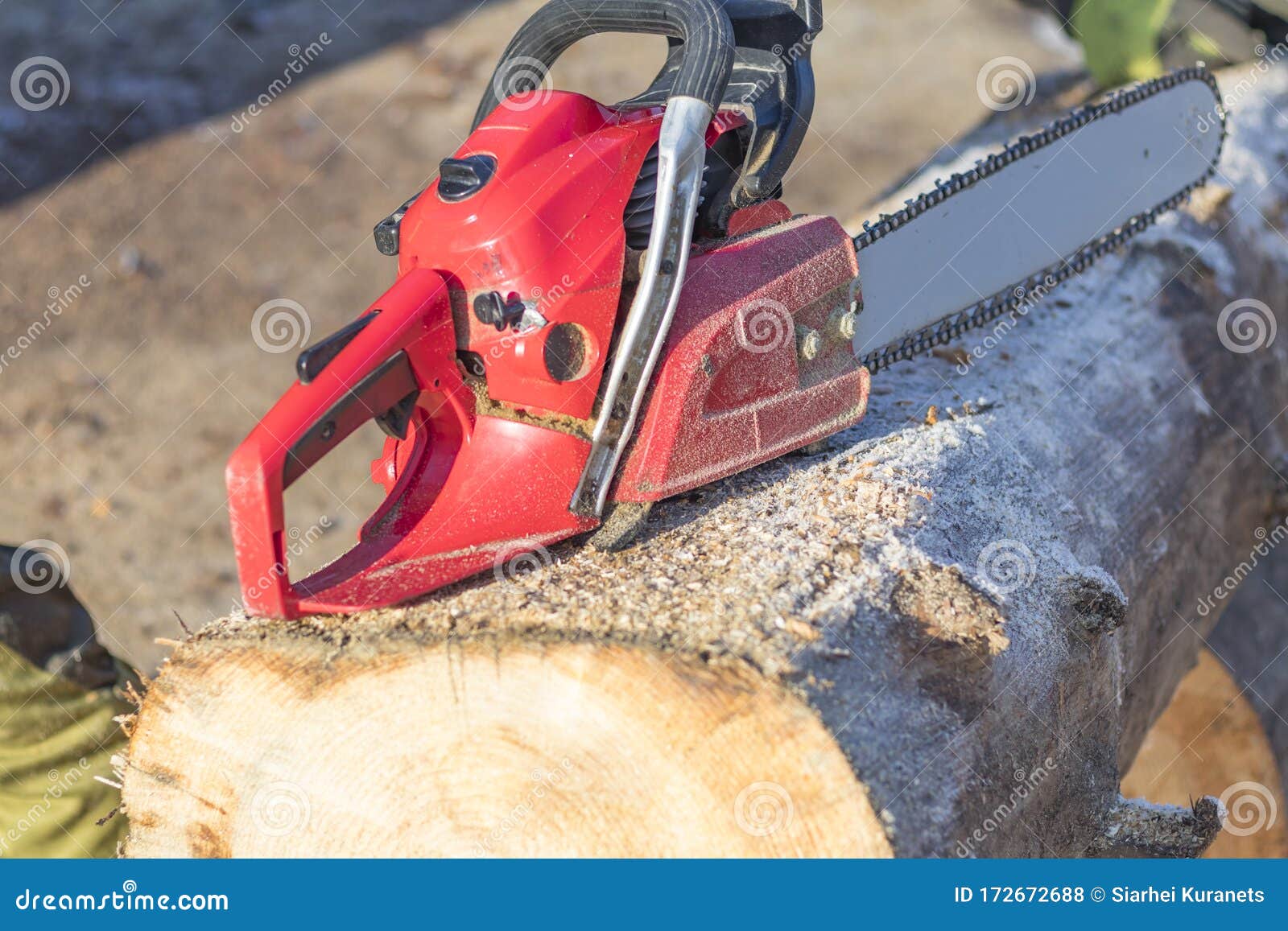 Man Sawing a Big Tree with a Chainsaw. Sawdust Stock Photo - Image of ...