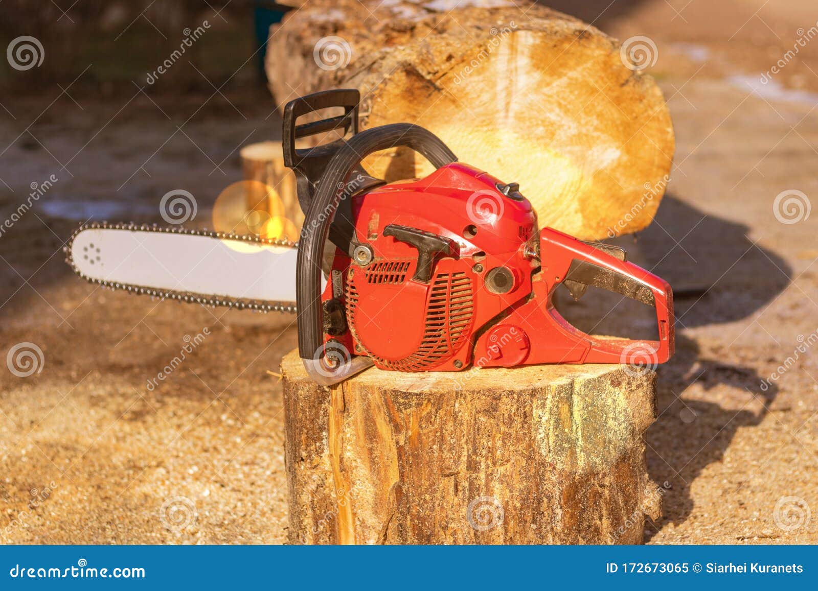 Man Sawing a Big Tree with a Chainsaw. Sawdust Stock Image - Image of ...