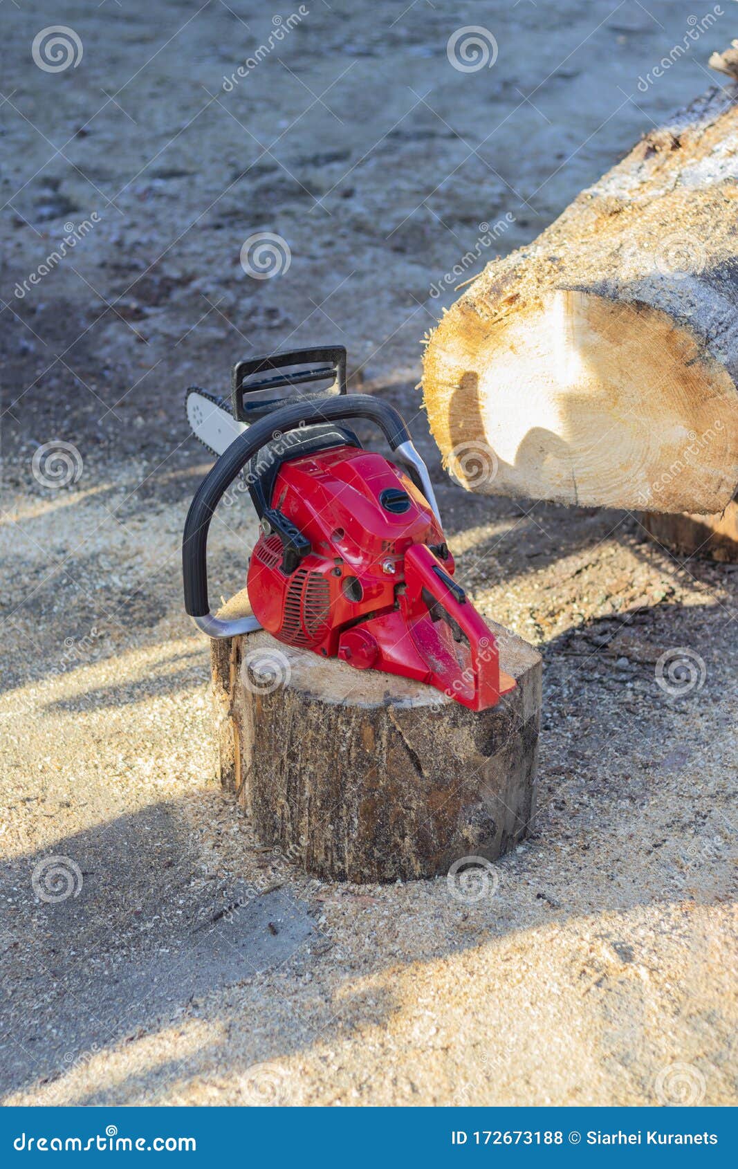 Man Sawing a Big Tree with a Chainsaw. Sawdust Stock Photo - Image of ...