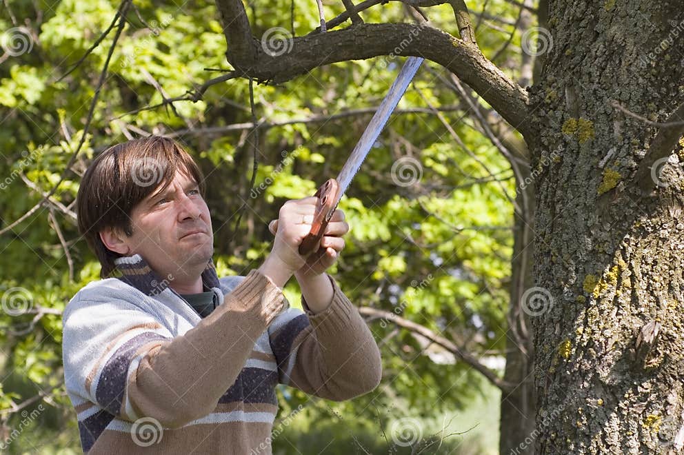 Man Sawing a Branch with an Handsaw Stock Photo - Image of active ...