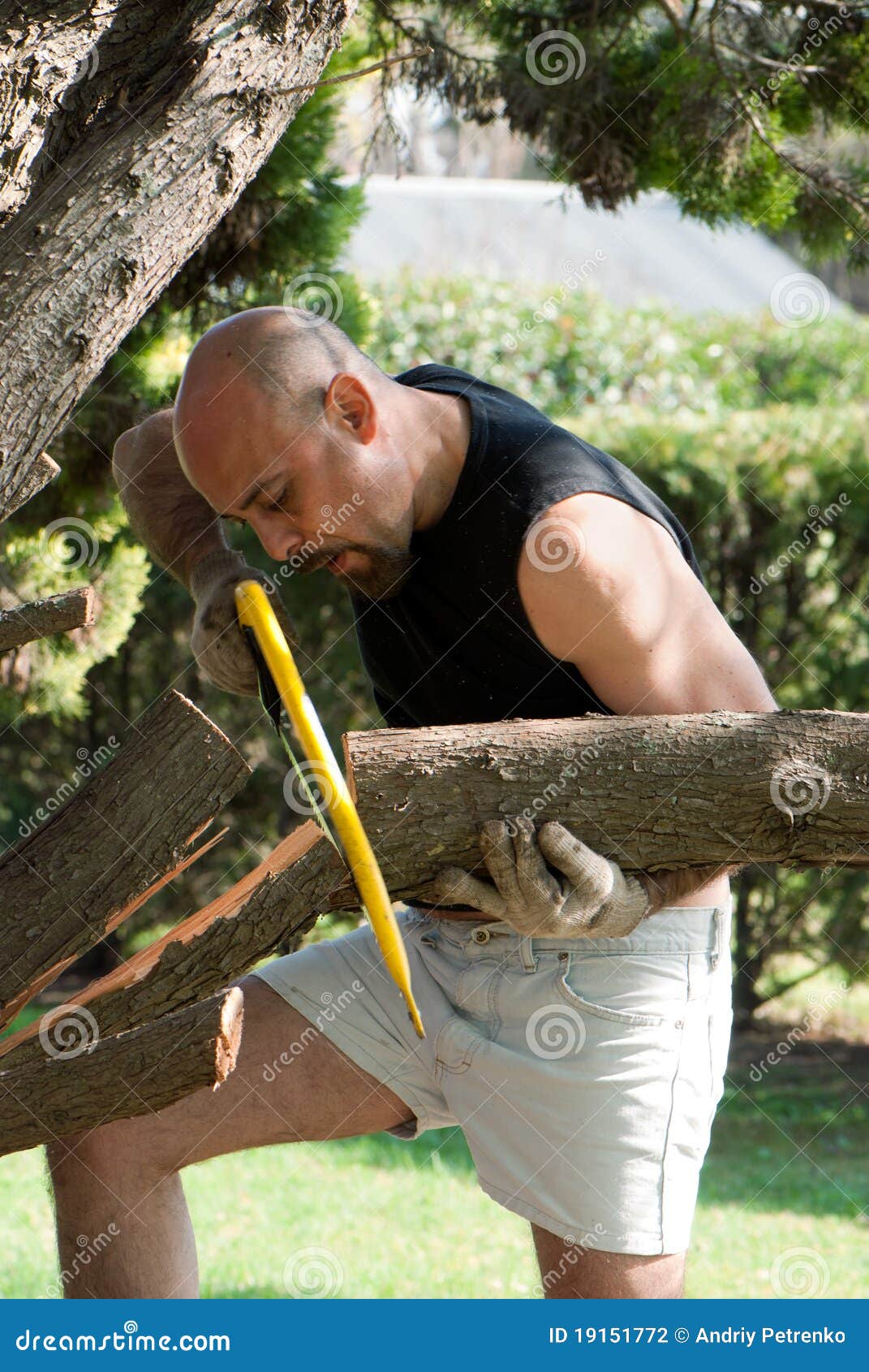 Man Sawing a Branch of Tree with an Handsaw Stock Photo - Image of ...