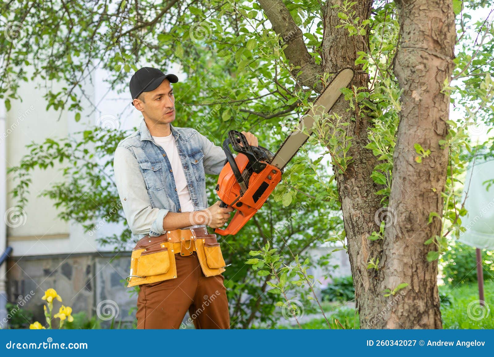 Man Sawing Branches with a Chainsaw. Concept of a Professional Logging ...
