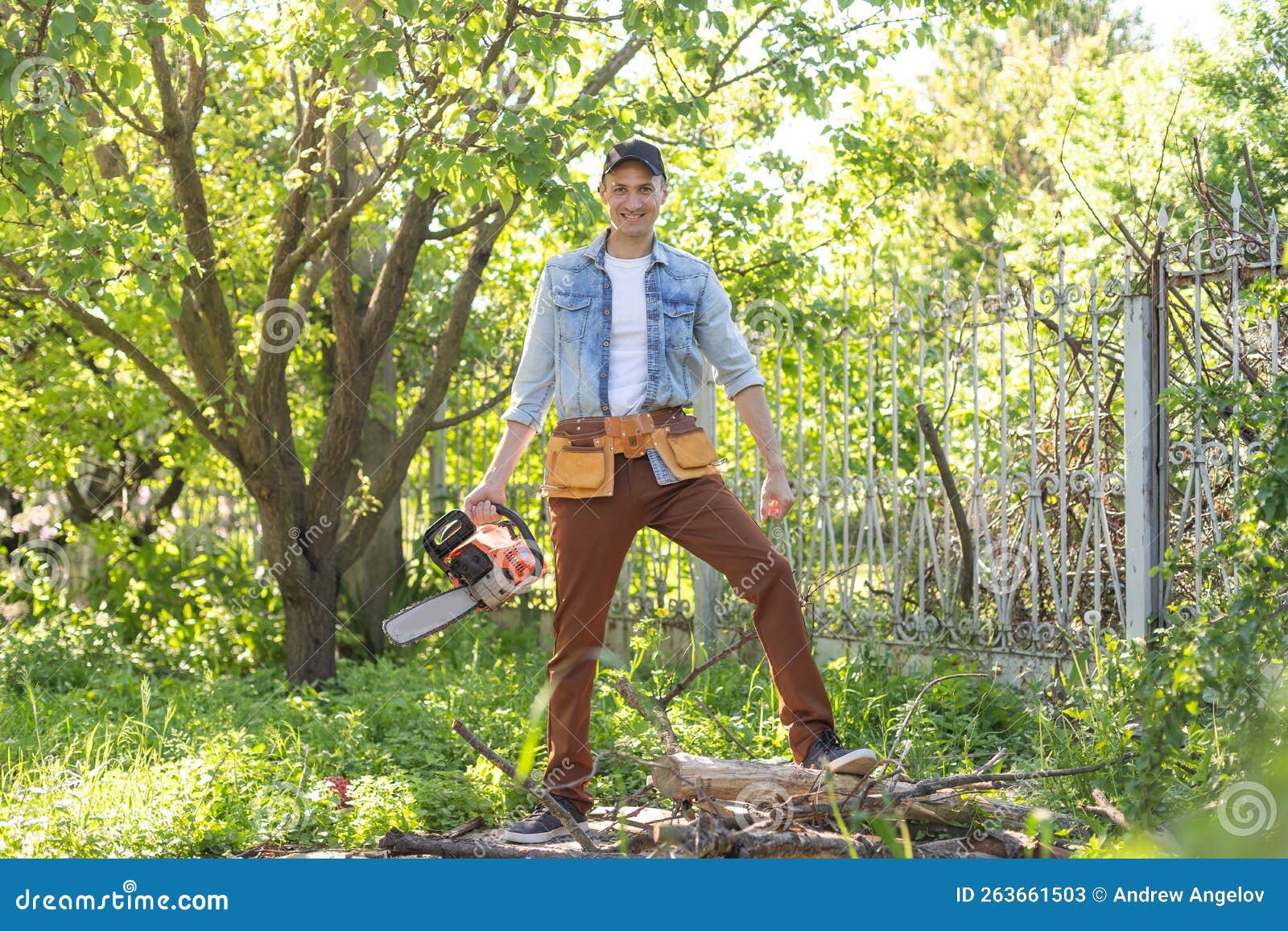 Man Sawing Branches with a Chainsaw. Concept of a Professional Logging ...