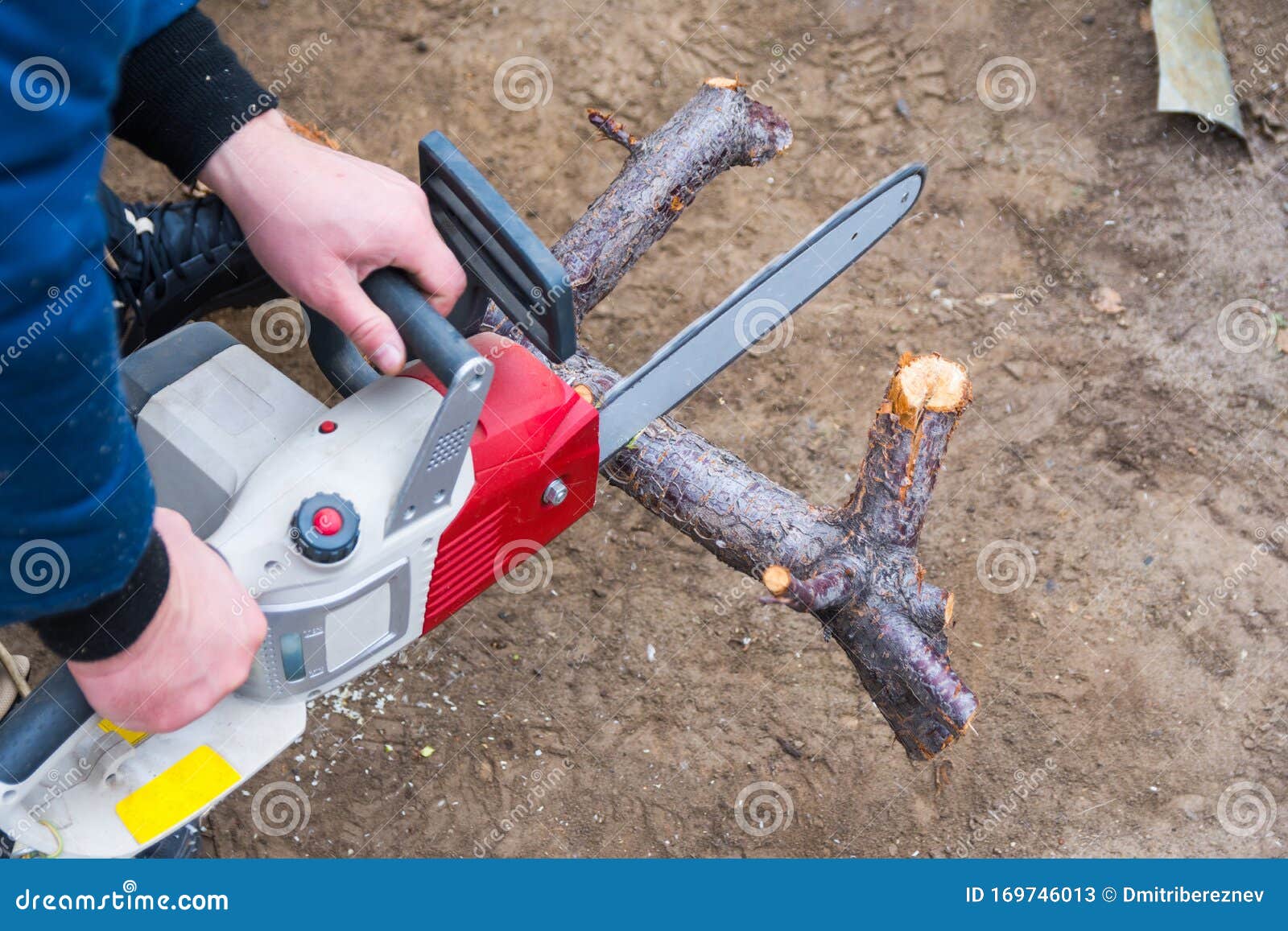 A Man is Sawing a Fallen Tree with an Electric Chain Saw Stock Image ...