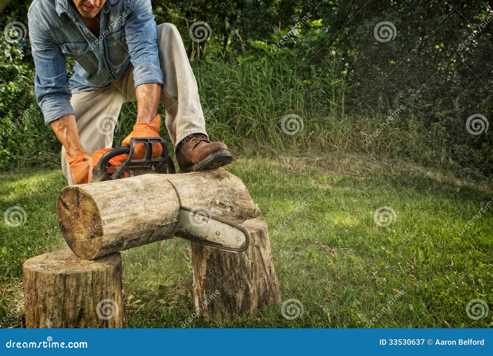 Man Sawing A Log Royalty Free Stock Photography - Image: 33530637