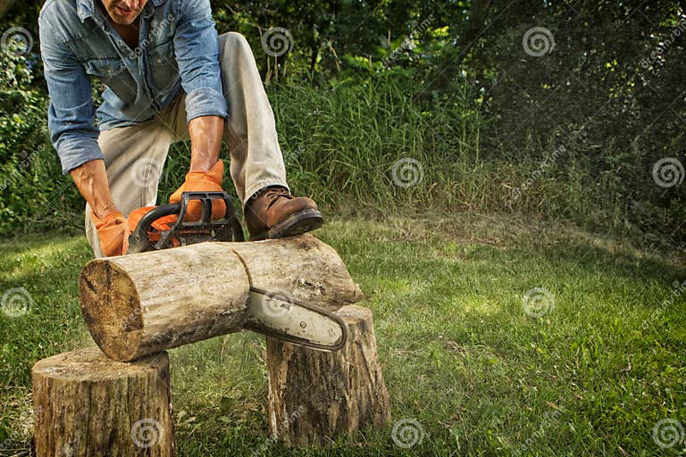 Man sawing a log stock image. Image of coppyspace, collar - 33530637
