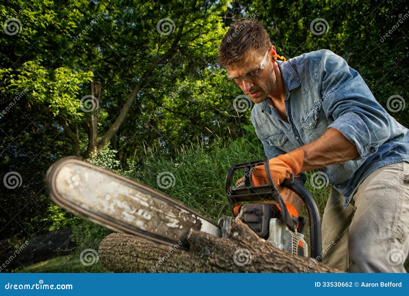 Man sawing a log stock photo. Image of outdoor, safety - 33530662